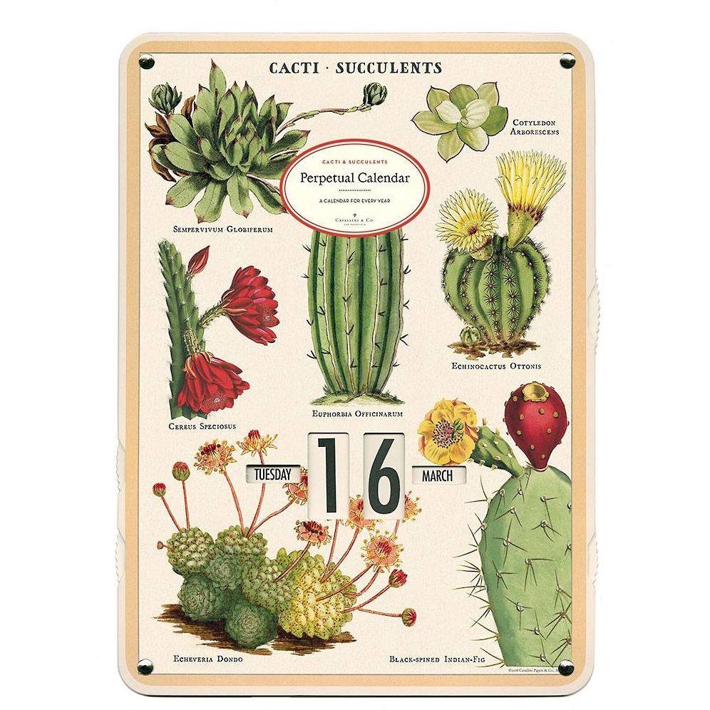 Cavallini Succulents Perpetual Calendar | Paper Source