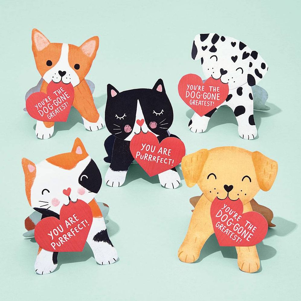 Dogs & Cats Valentine Card Kit | Paper Source