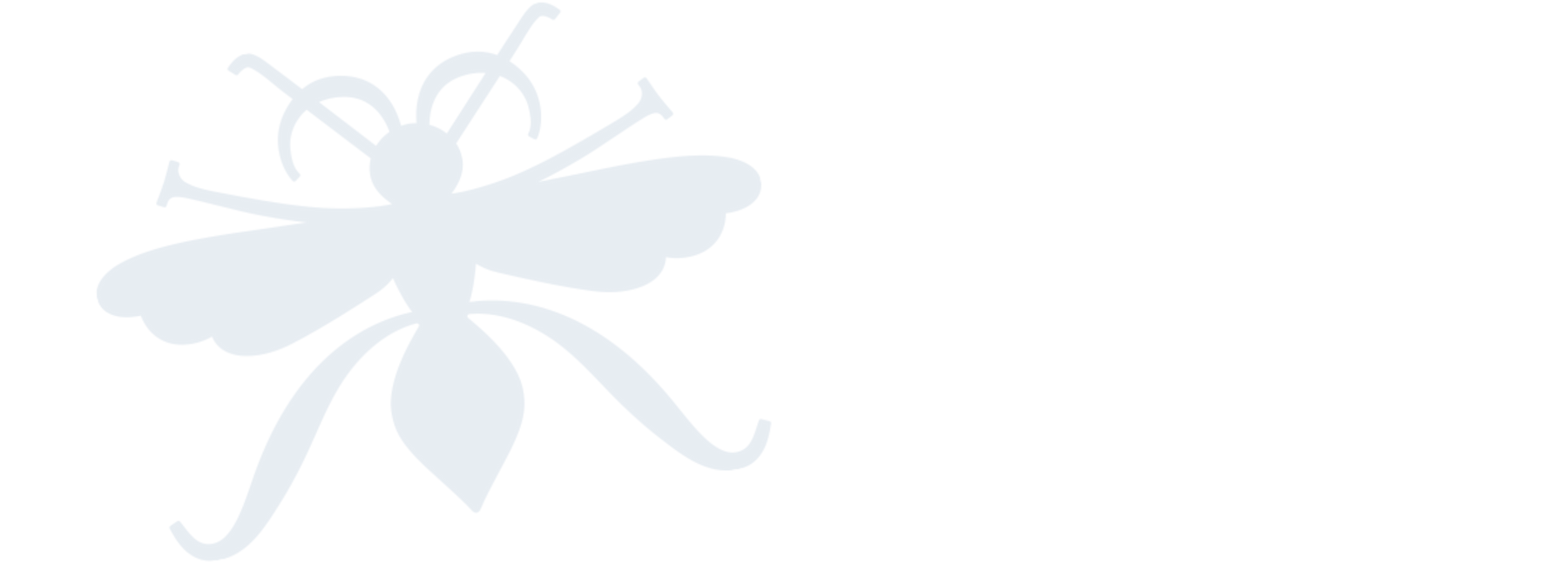 About Paper Source | Our Story & Values