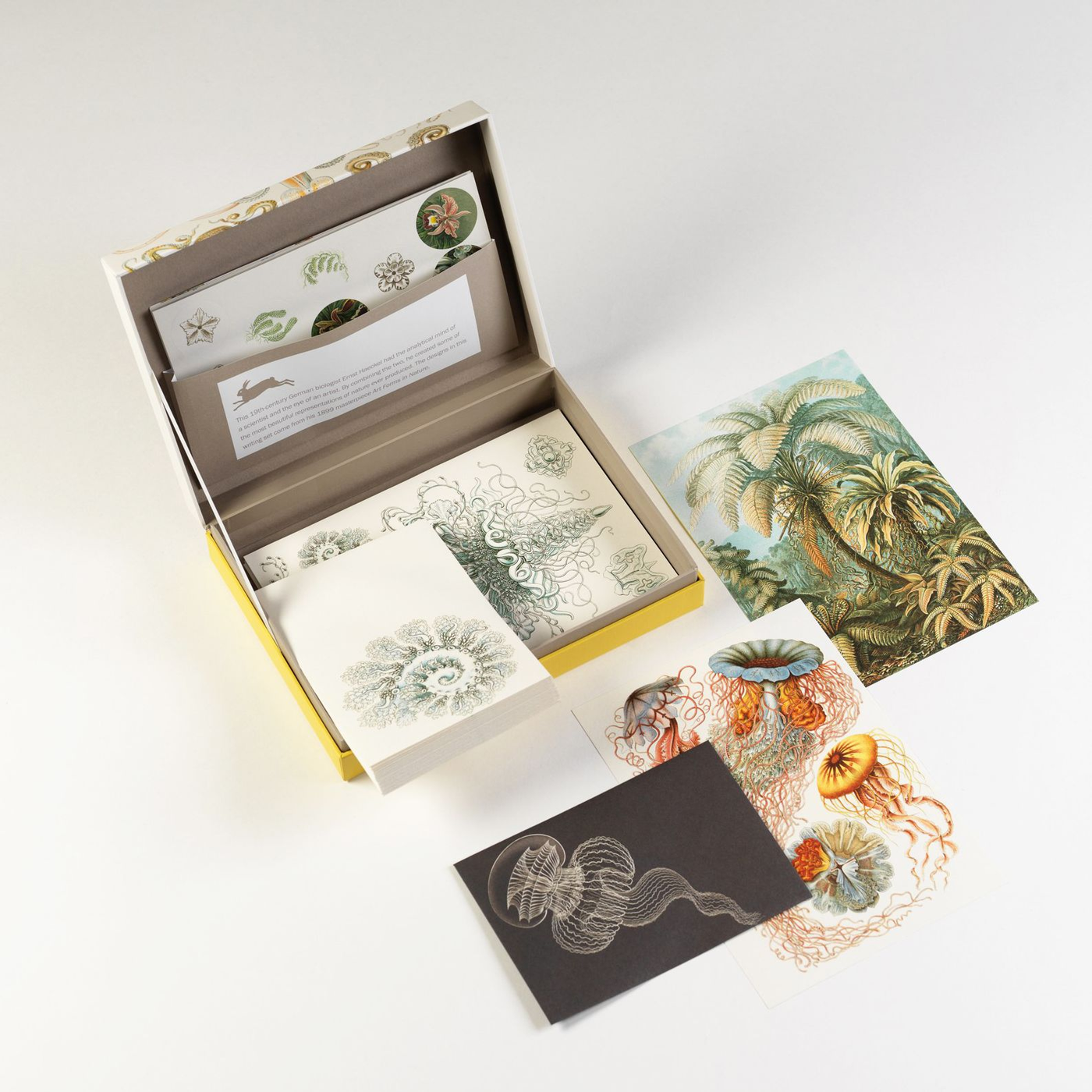 Stationery Sets & Cards