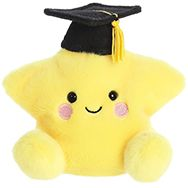 Magna Graduation Star 5" Palm Pals | Paper Source