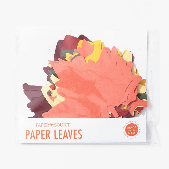 Paper Kits | Shop Unique Paper Crafts & Supplies | Paper Source