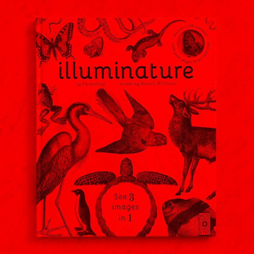 Illuminature: Discover 180 Animals with your Magic Three Color Lens ...