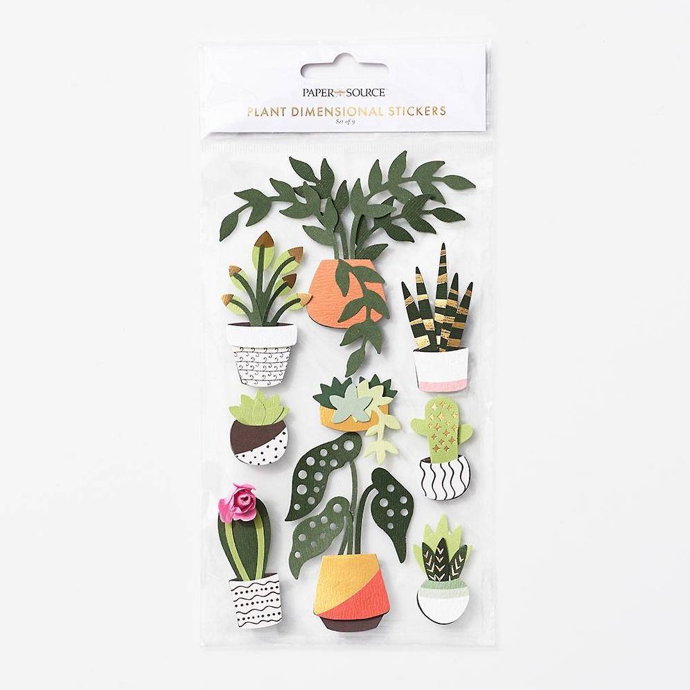 Potted Plant Stickers | Paper Source