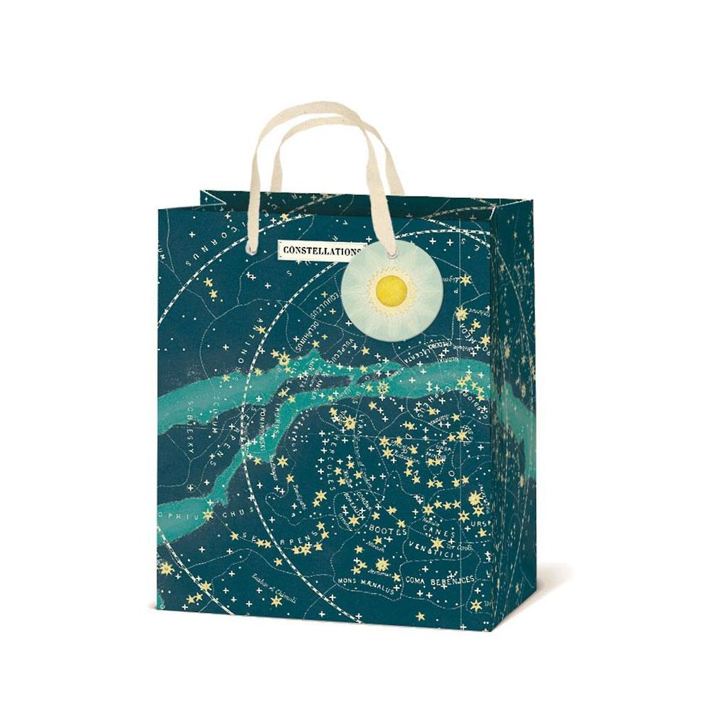 Cavallini & Co. Celestial Medium Gift Bag | Paper Source