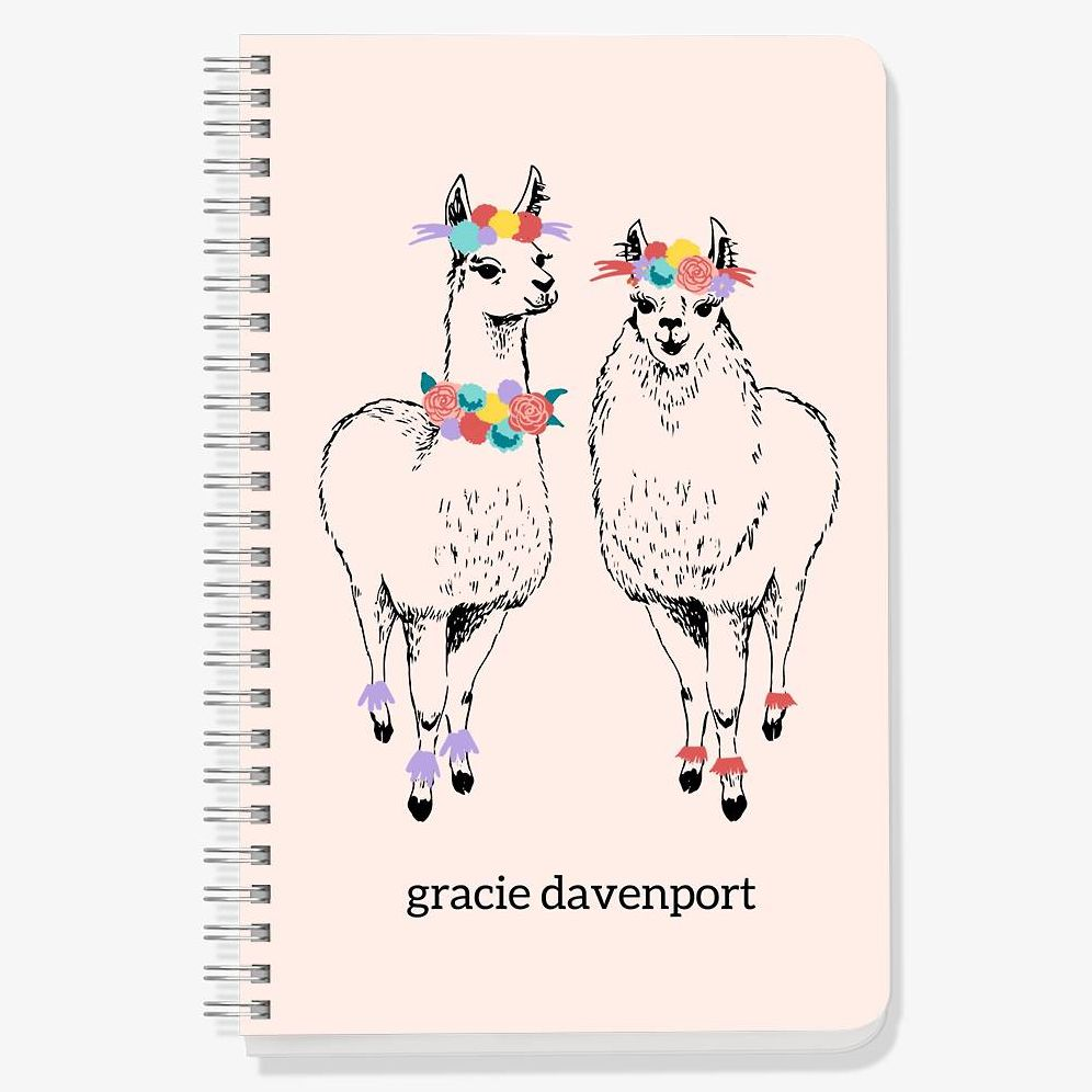 Llama Custom Journal | Paper Source