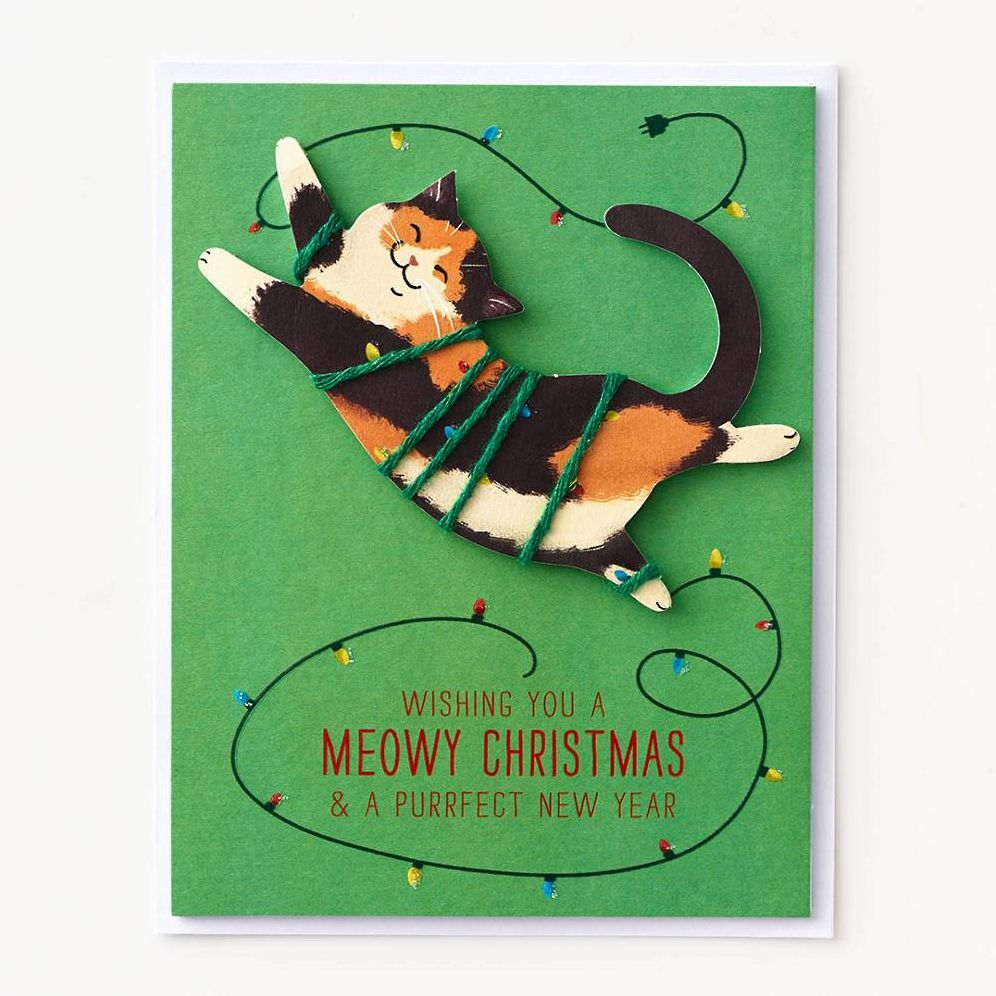 Meowy Christmas Card | Paper Source