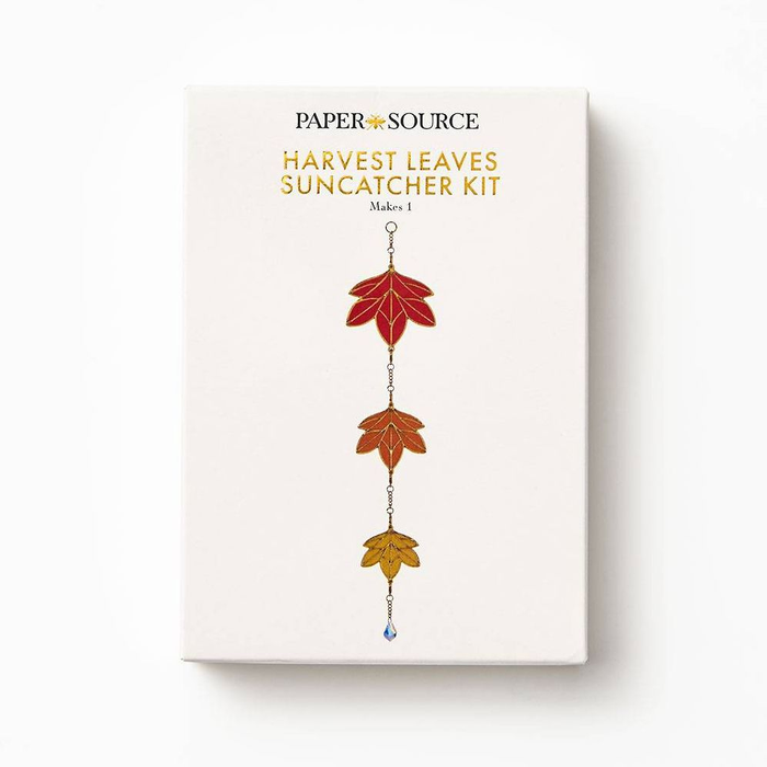 Paper & Craft | Paper Source