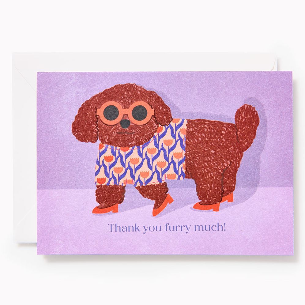 Thank you Furry Much Card | Paper Source