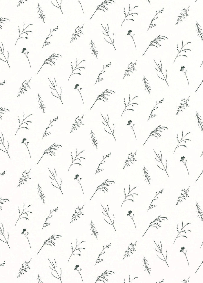 Stationery Stores, Wedding Invitations, Gifts & More | Paper Source