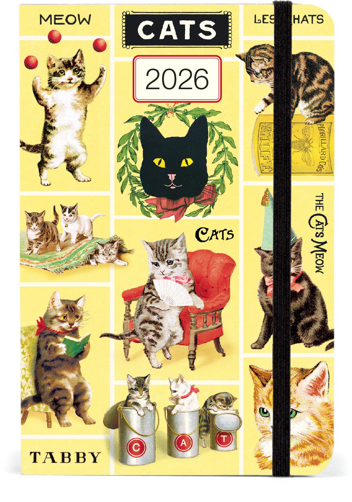 2026 Cats Weekly Planner | Paper Source