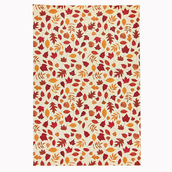 Wrapping Paper | Paper Source